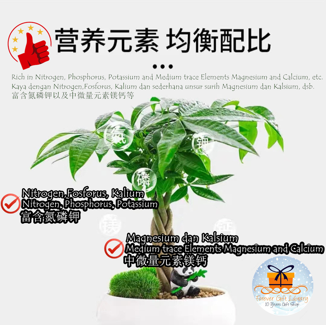GIFT 植物营养棒缓释肥 Fertilizer Slow Release Baja Bunga SUCCULENT Fertilizer ...