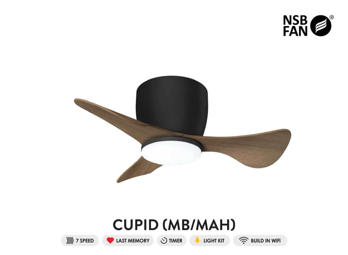 NSB Cupid 22" Kelly 22" mini ceiling fan DC motor White Black 3 blade ...
