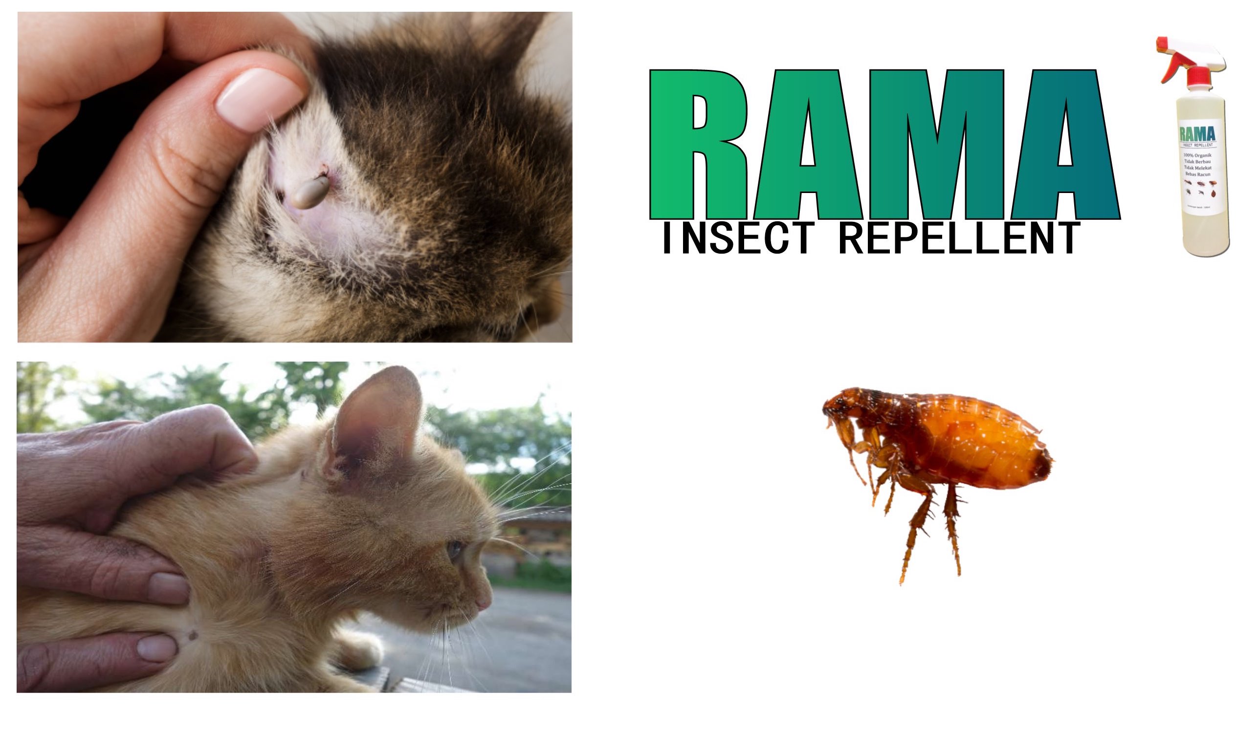 RAMA Insect Repellent | Spray Serangga Organik ( Semut, Lipas, Kutu, Pepijat, Anai-anai dan ...