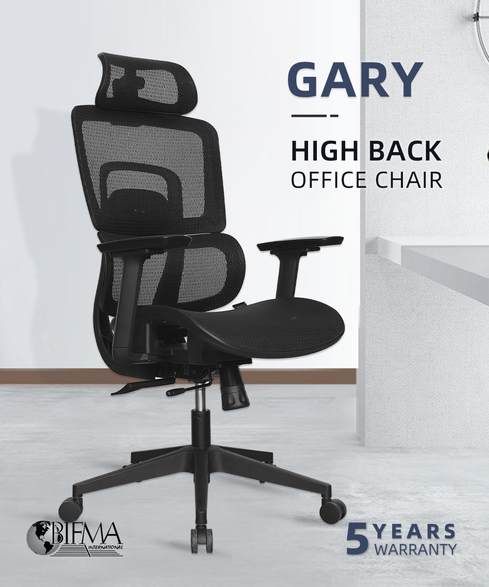 [FREE SHIPPING] Homez Gary Office Chair Ergonomic Chair Executive Mesh ...