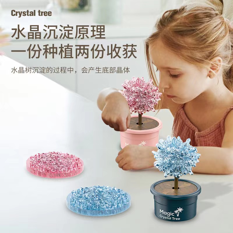 DIY Steam Crystal Planting Growing Science Experiment Educational Kit ...