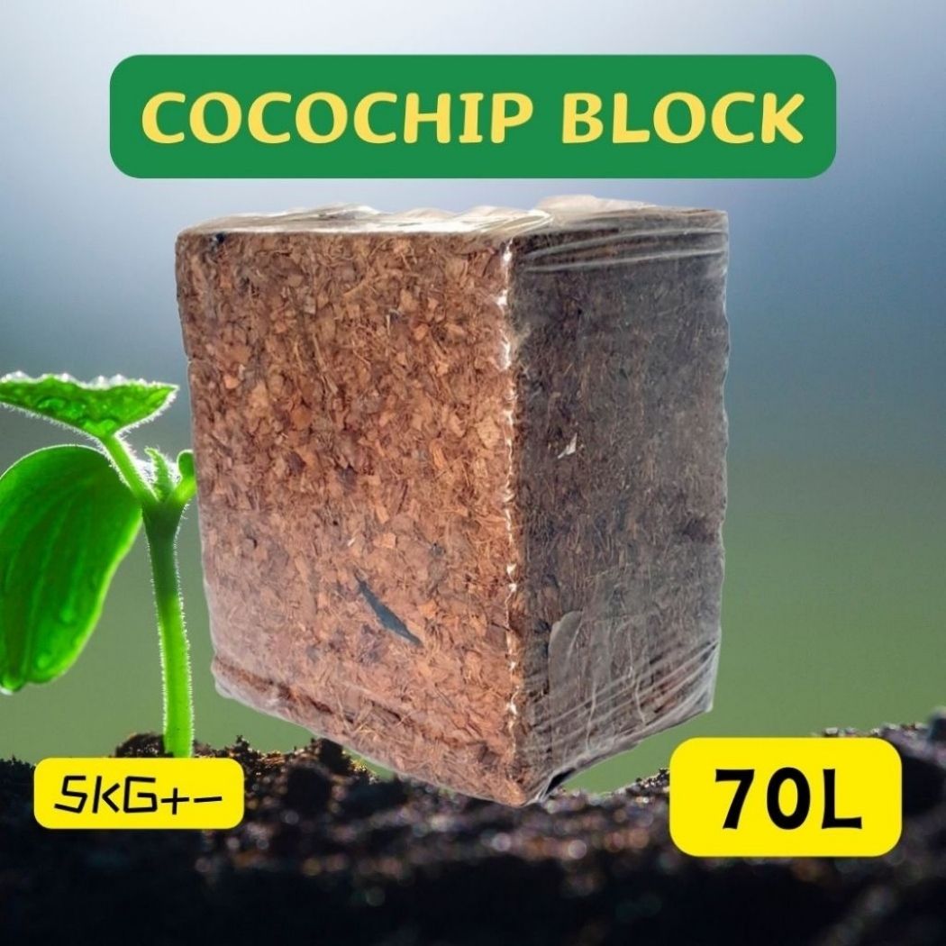 CocoHusk Coco Chip Coco Chips For Plants Coconut Husk For Plant ...