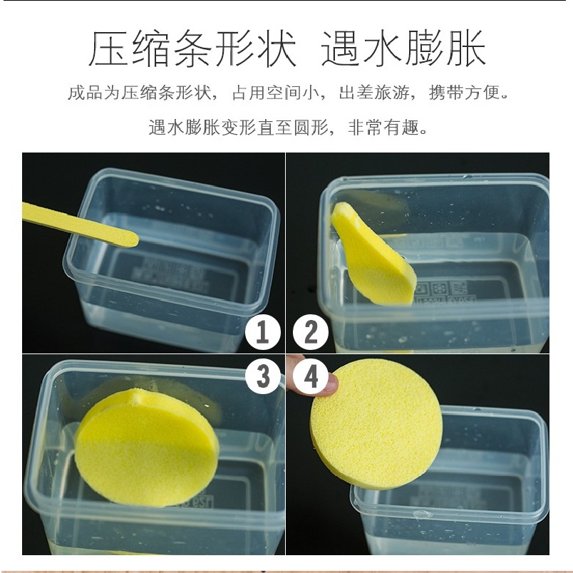 JEFFMUI Compressed Cleaning Facial Sponge 12pc Span Pencuci Muka ...