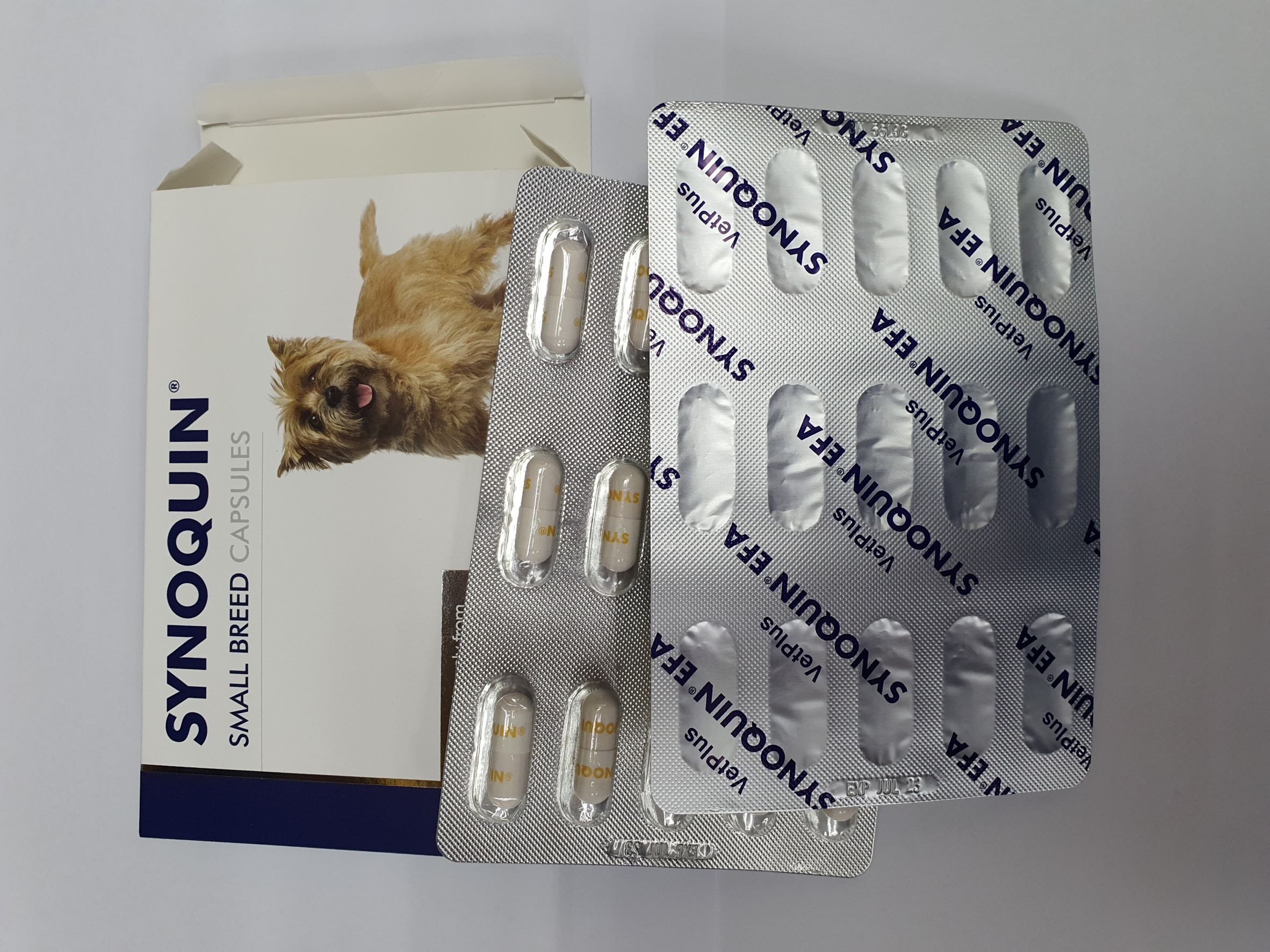 VETPLUS SYNOQUIN JOINT SUPPLEMENT FOR DOGS (SMALL, MEDIUM, LARGE ...