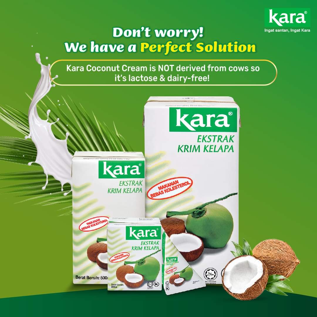 KARA SANTAN Kara Mini Borong Santan Kotak Kara Coconut Cream Extract ...