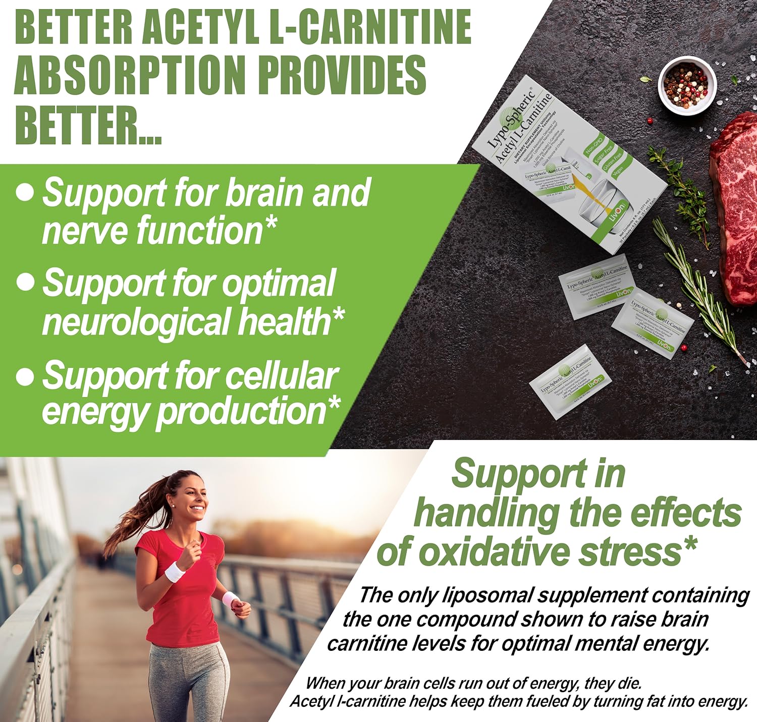 LIVON LABS Lypo-Spheric Liposomal Acetyl L-Carnitine ALCAR USA for ...