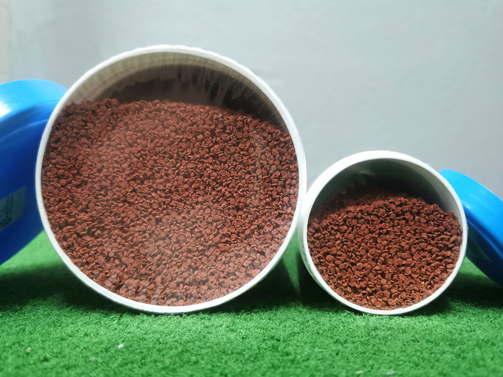 Prodac Pro Bits (100g/ 500g). Discus Fish Food, Goldfish Food. Slow ...