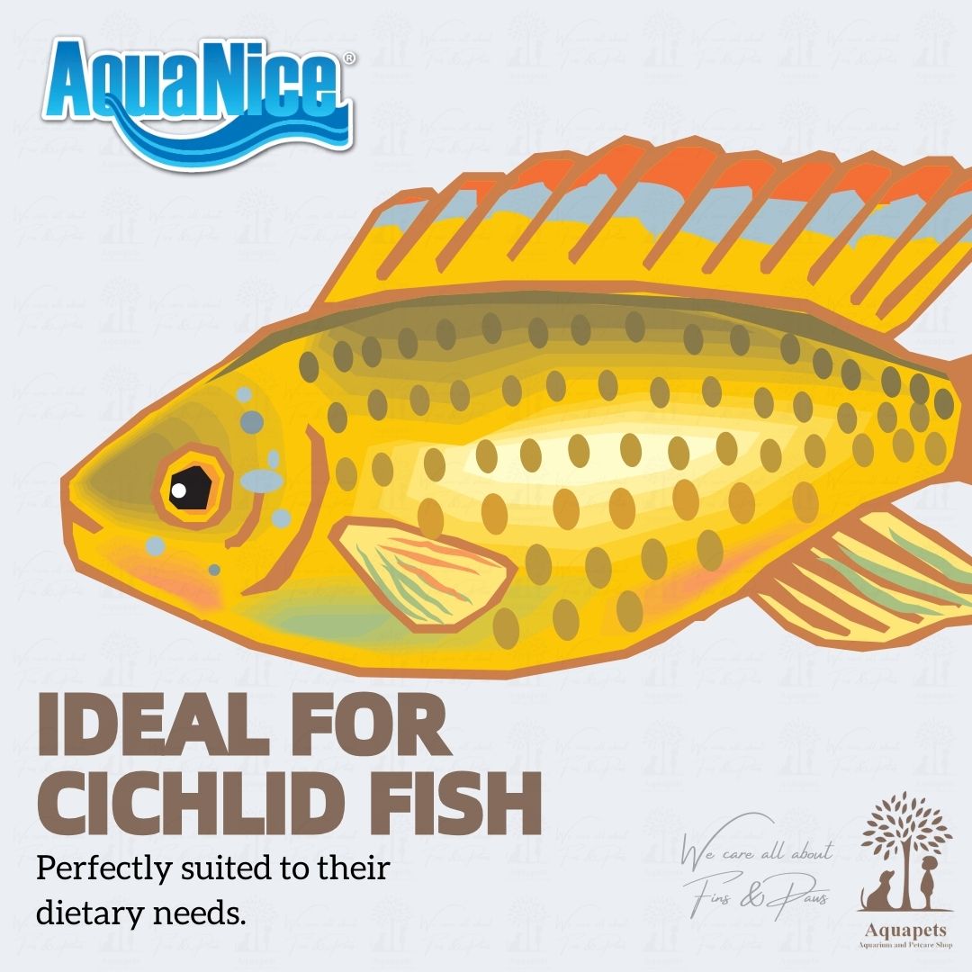 XinYang Super Color Fish Food (M) - 1kg / Cichlid fish food / Parrot ...