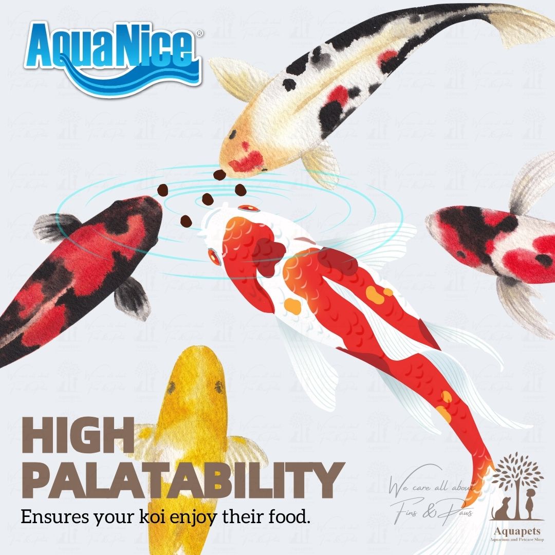 AquaNice Fujikoi High Growth Premium Koi Fish Food (L-5MM) - 5kg ...