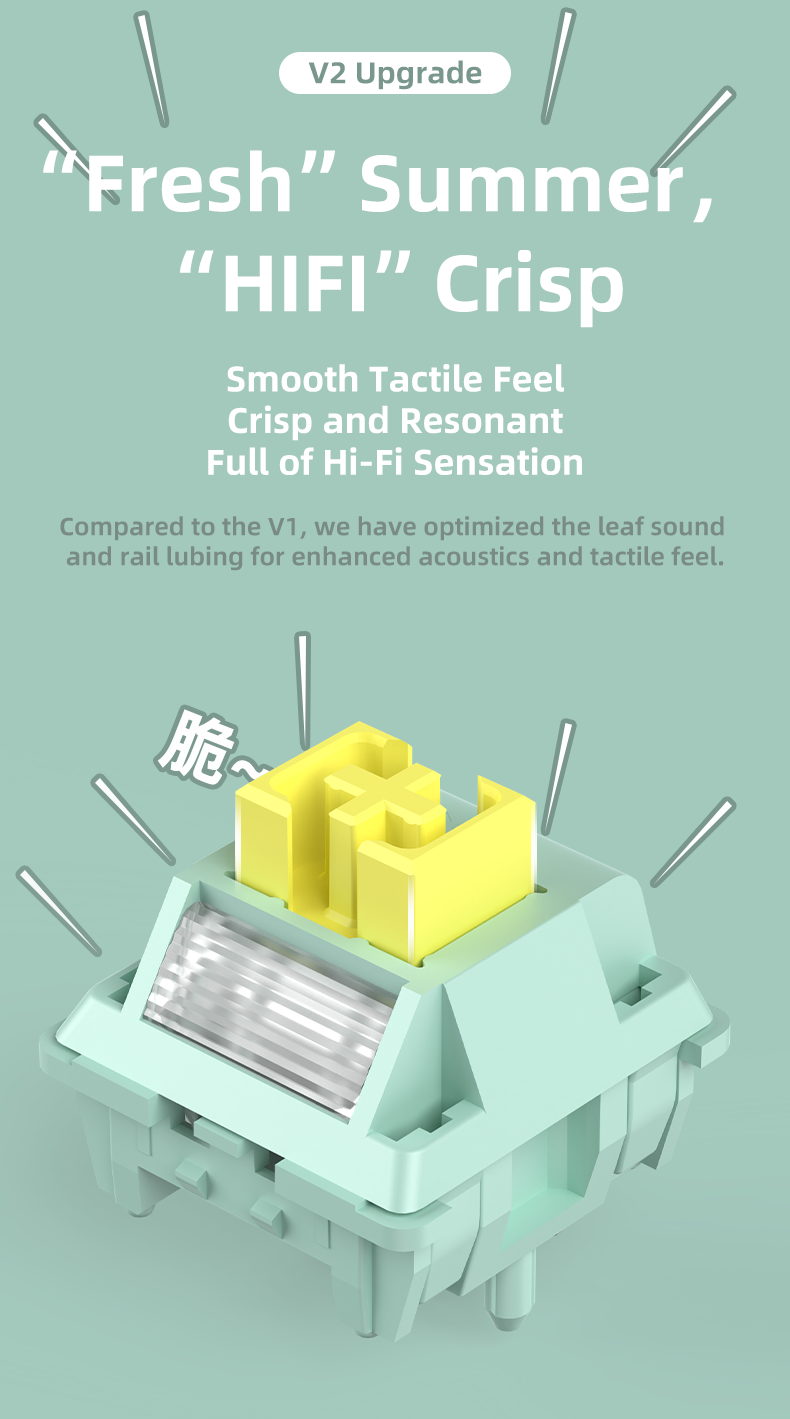 Bsun Sea Salt V2 Tactile Switch | Shopee Malaysia