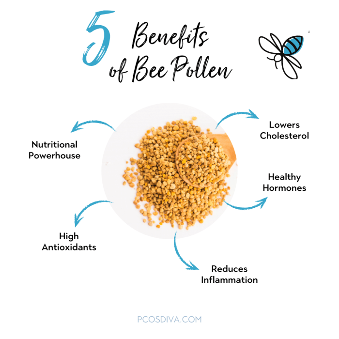 (Ready stock) Bee Pollen Seeds | Bee Pollen 120g | Halal, Pure & 100% ...