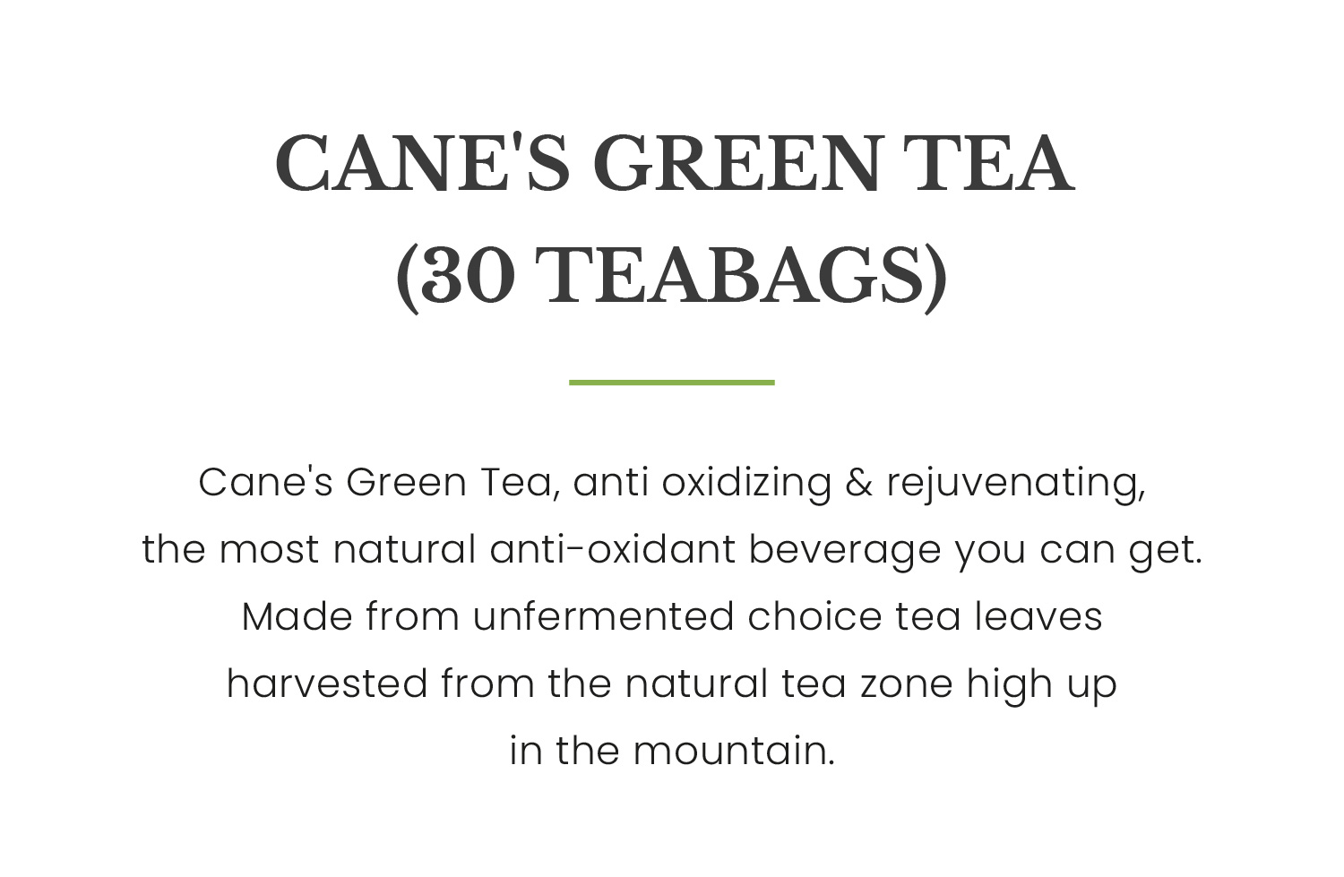 Purple Cane Cane's Green Tea 紫藤 康氏绿茶 (30 Teabags) | Shopee Malaysia