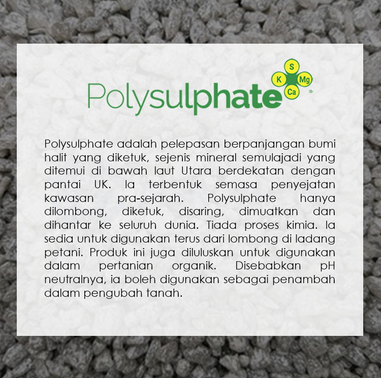 AgroBuddy 1kg Polysulphate Baja Mineral Semula Jadi Organik | Powder ...
