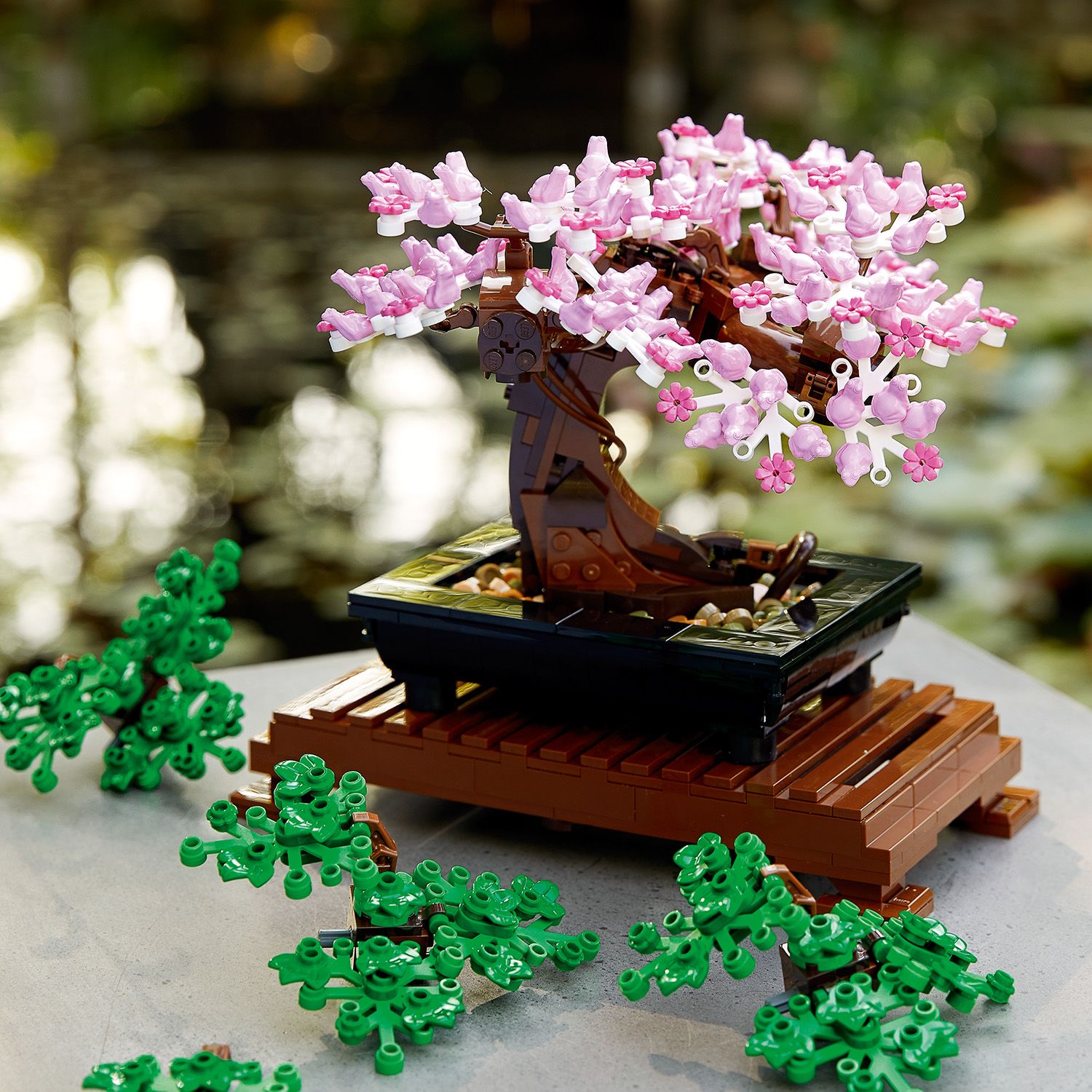 LEGO Botanicals Bonsai Tree 10281 Building Kit (878 Pieces ...