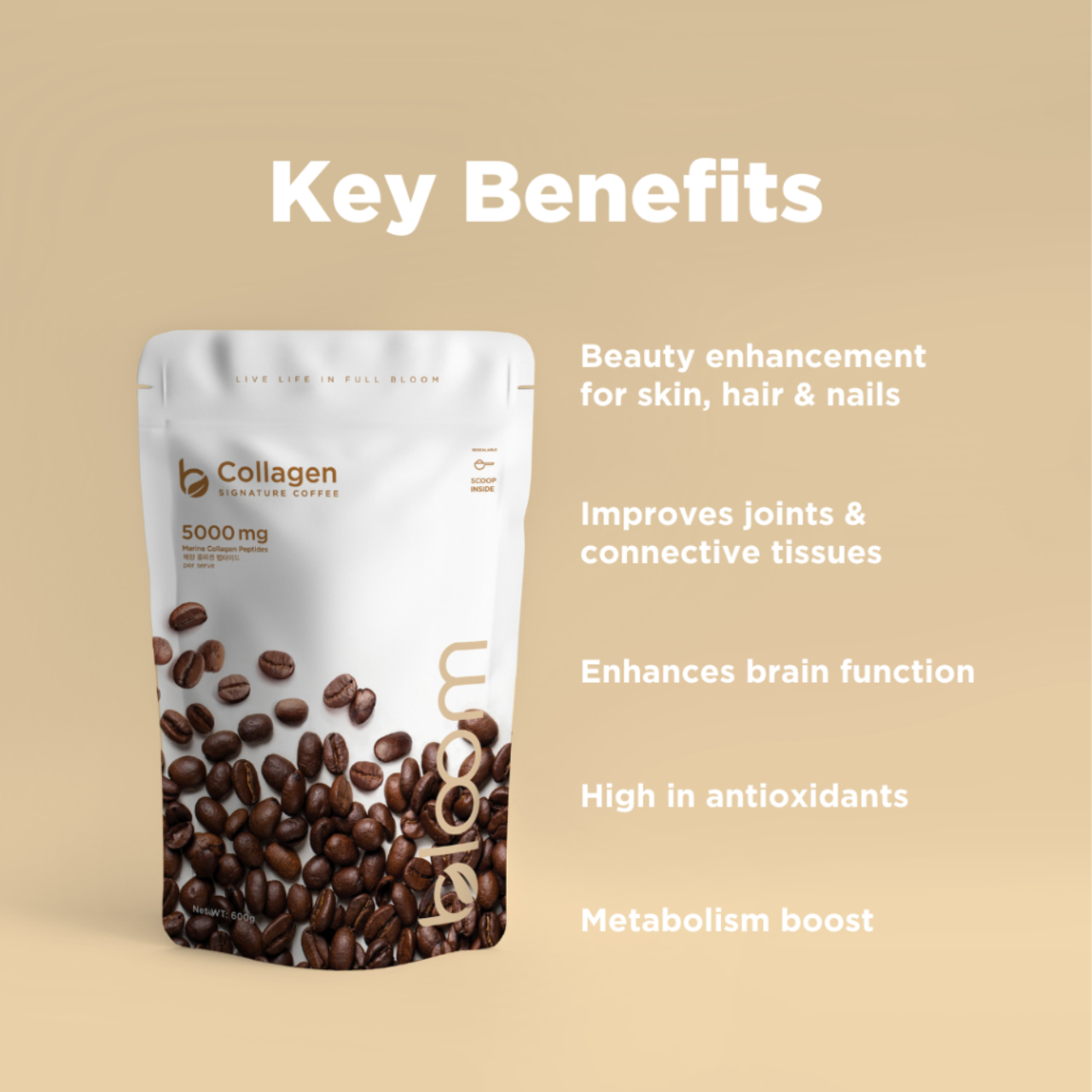 Bloom Collagen Dutch Chocolate | Signature Coffee | Matcha Latte | Oat ...
