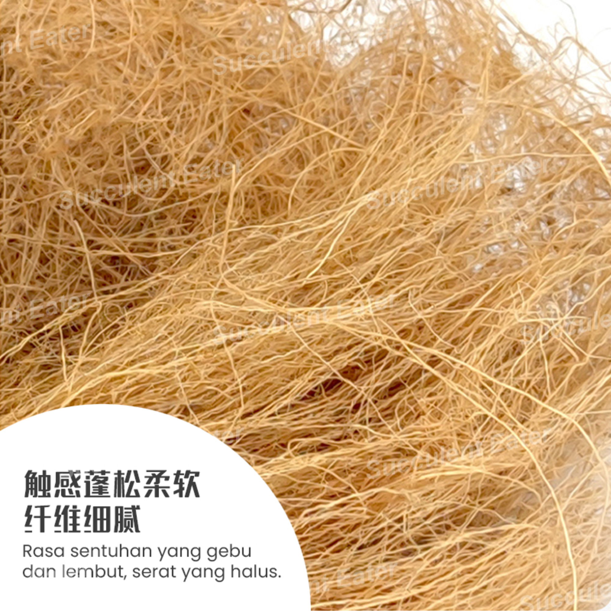 Cocofiber 100g Coco Fibre Sabut Kelapa Kasar Kering Coconut Husk Soil ...