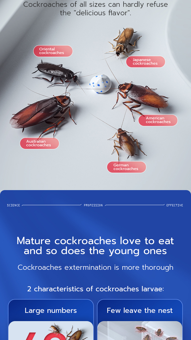 BAYER Premise Cockroach Killing Gel Bait Cockroach Killing Liquid Gel ...