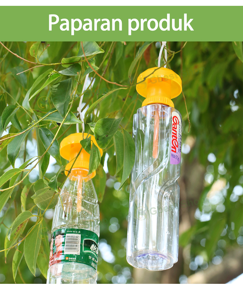 Fruit fly trap killer Attractant Val fly bait flying bee Drosophila ...