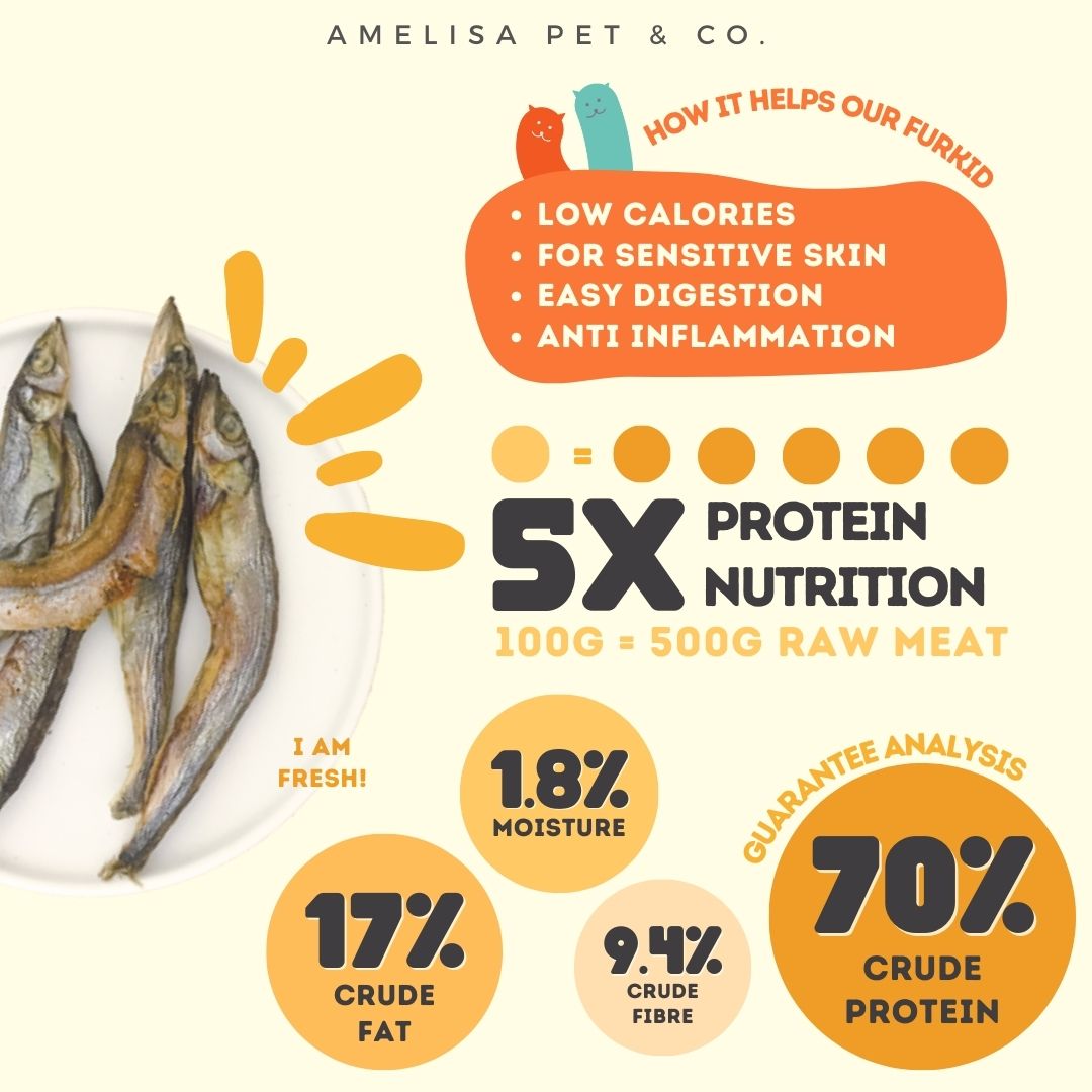 Amelisa Pet & Co. Freeze Dried Treats - Capelin Fish Tri Value Pack ...