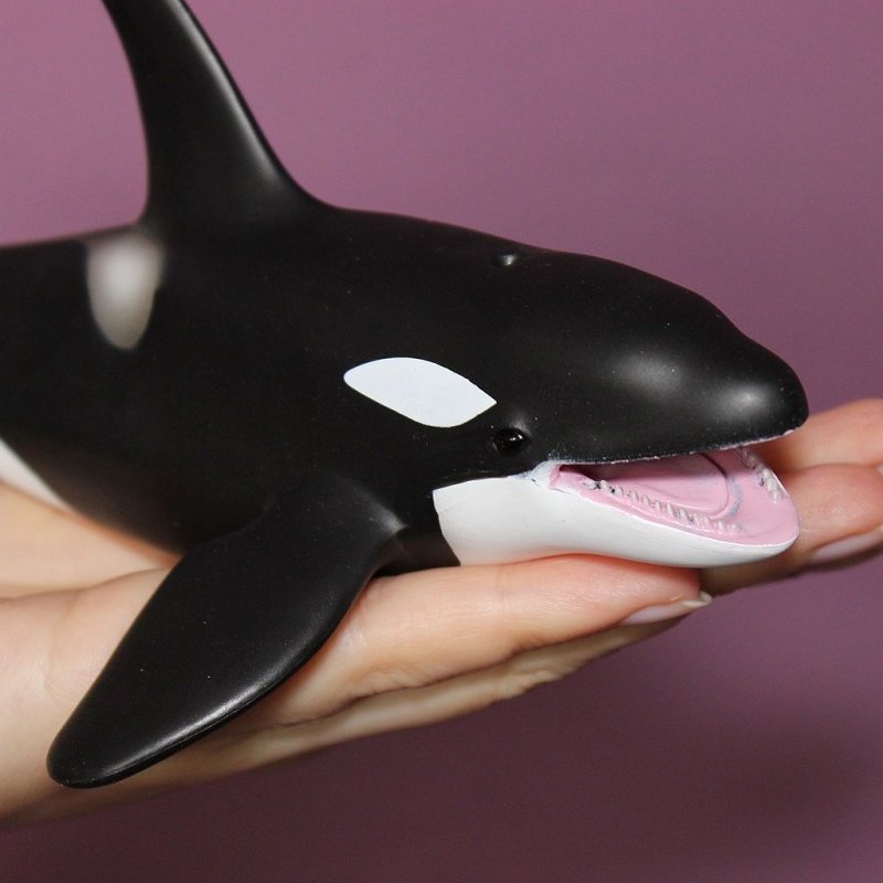 Orca (Killer Whale) - CollectA 88043 Sea Life Animal Action Figures ...