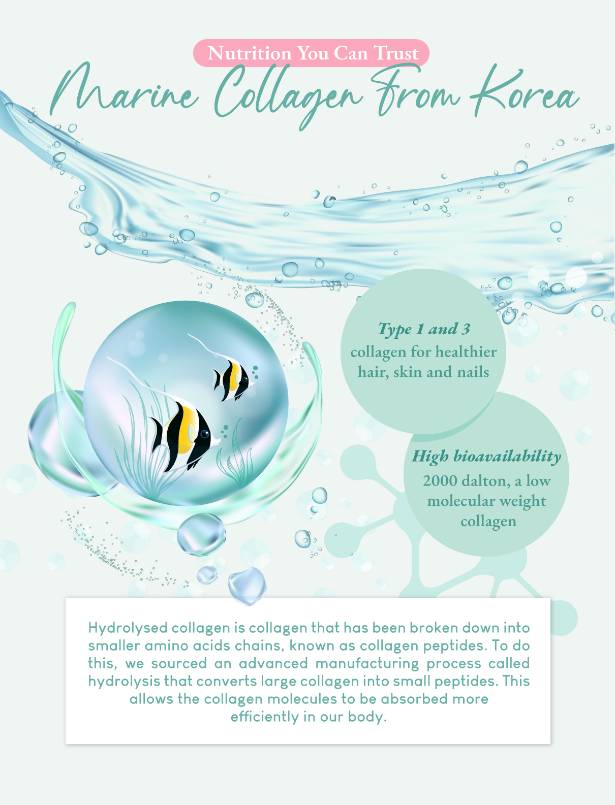 Signature Market Vital Spark Marine Colla-Plus (Collagen Powder, Skin ...