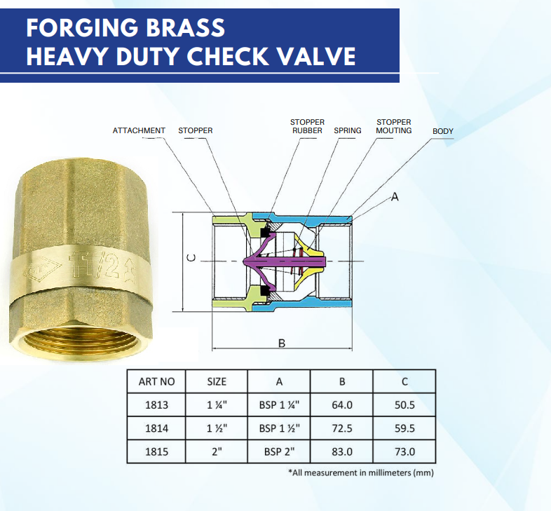 CITY 25mm (1") ~ 50mm (2") HEAVY DUTY BRASS SPRING CHECK VALVE | Shopee ...