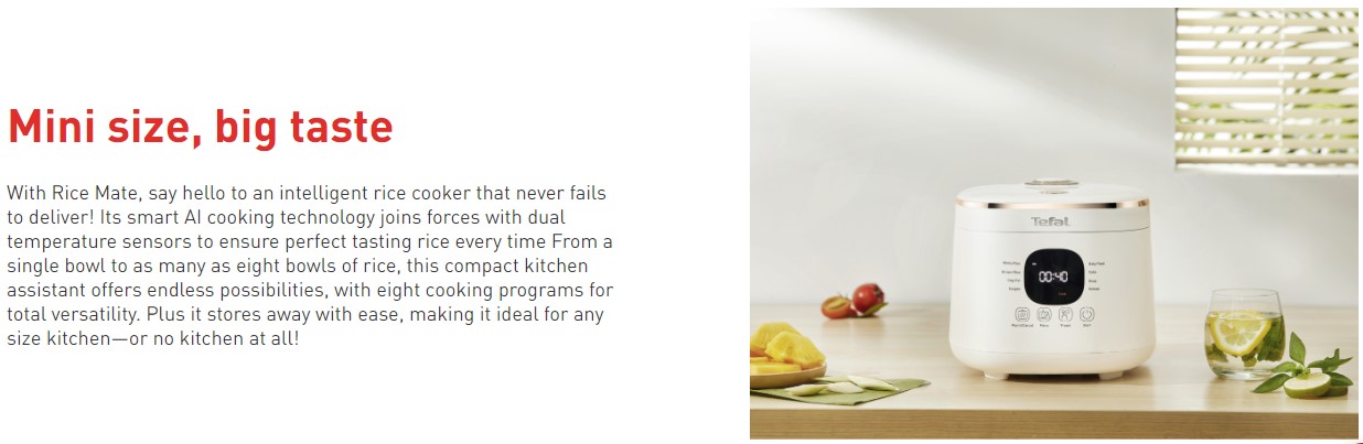 Tefal Mini Fuzzy Logic Rice Cooker RK5151 (4 cups) | Shopee Malaysia