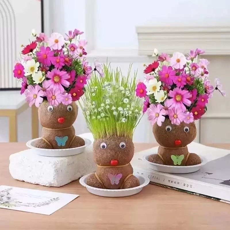 草头娃娃植物创意 DIY Grass Head Toy Planting for kids Craft Gift Tanaman pokok ...