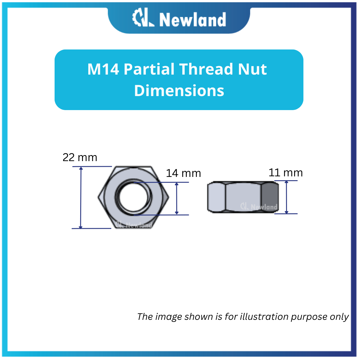 Newland M14 Fine Thread Bolt and Nuts / Plain Washer / Spring Washer ...