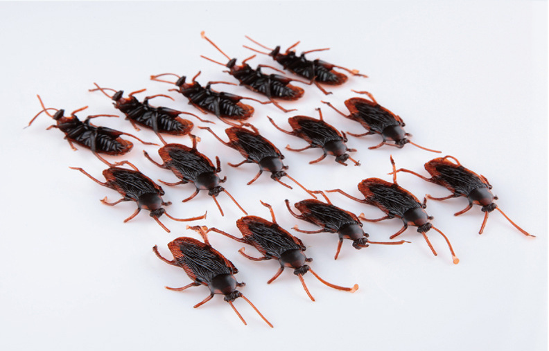 April Fool Lifelike Roach Simulation Cockroaches Rubber Fake Cockroach ...
