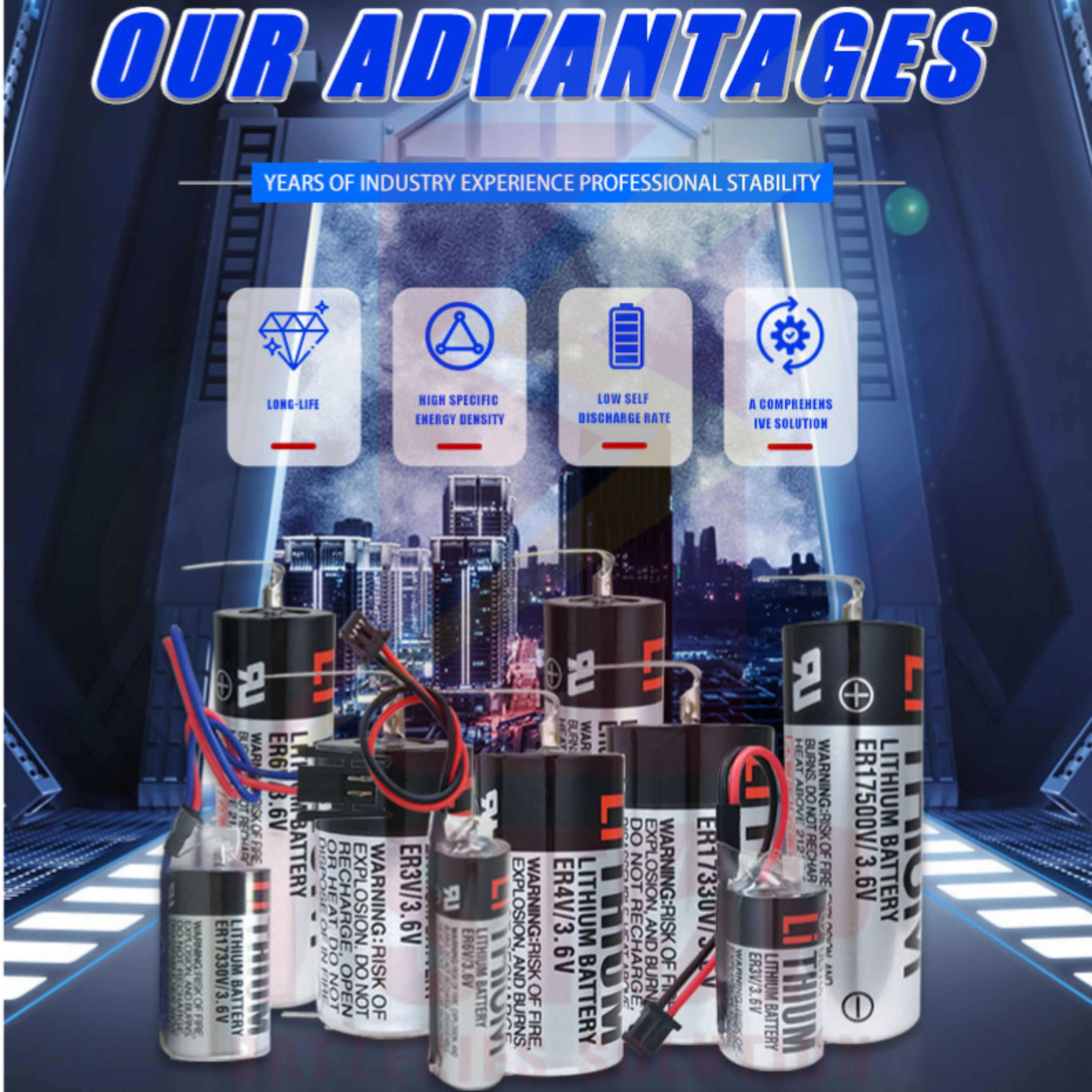 Original Toshiba ER3V 3.6V 1000mAh Lithium Batteries with Plug ...