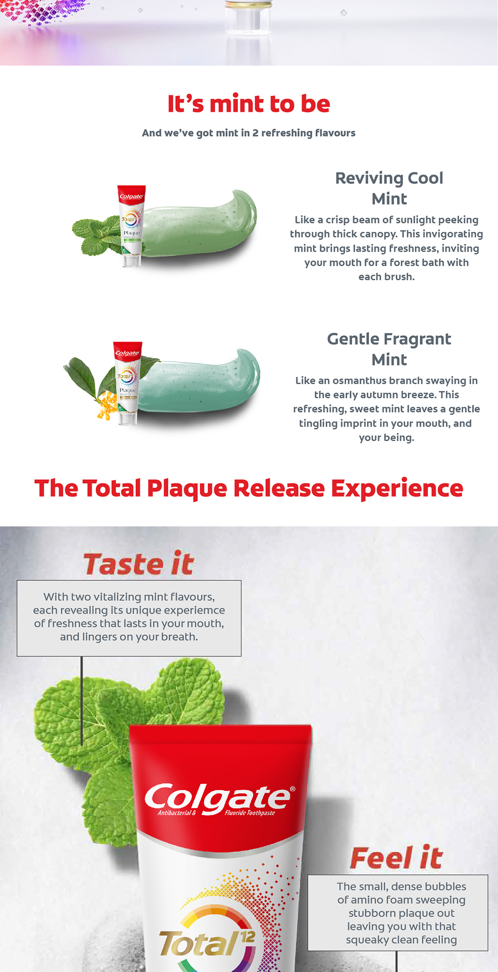Colgate Total Plaque Release Gentle Fragrant Mint Toothpaste (95g ...