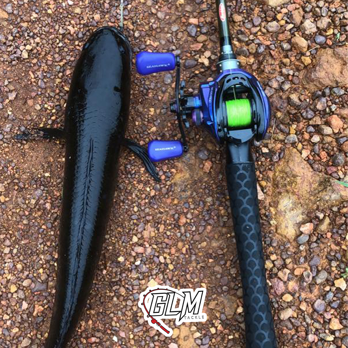 NEW 2023 SEAHAWK BASS STRIKE BS103HSL BAITCASTING REELS | Shopee Malaysia