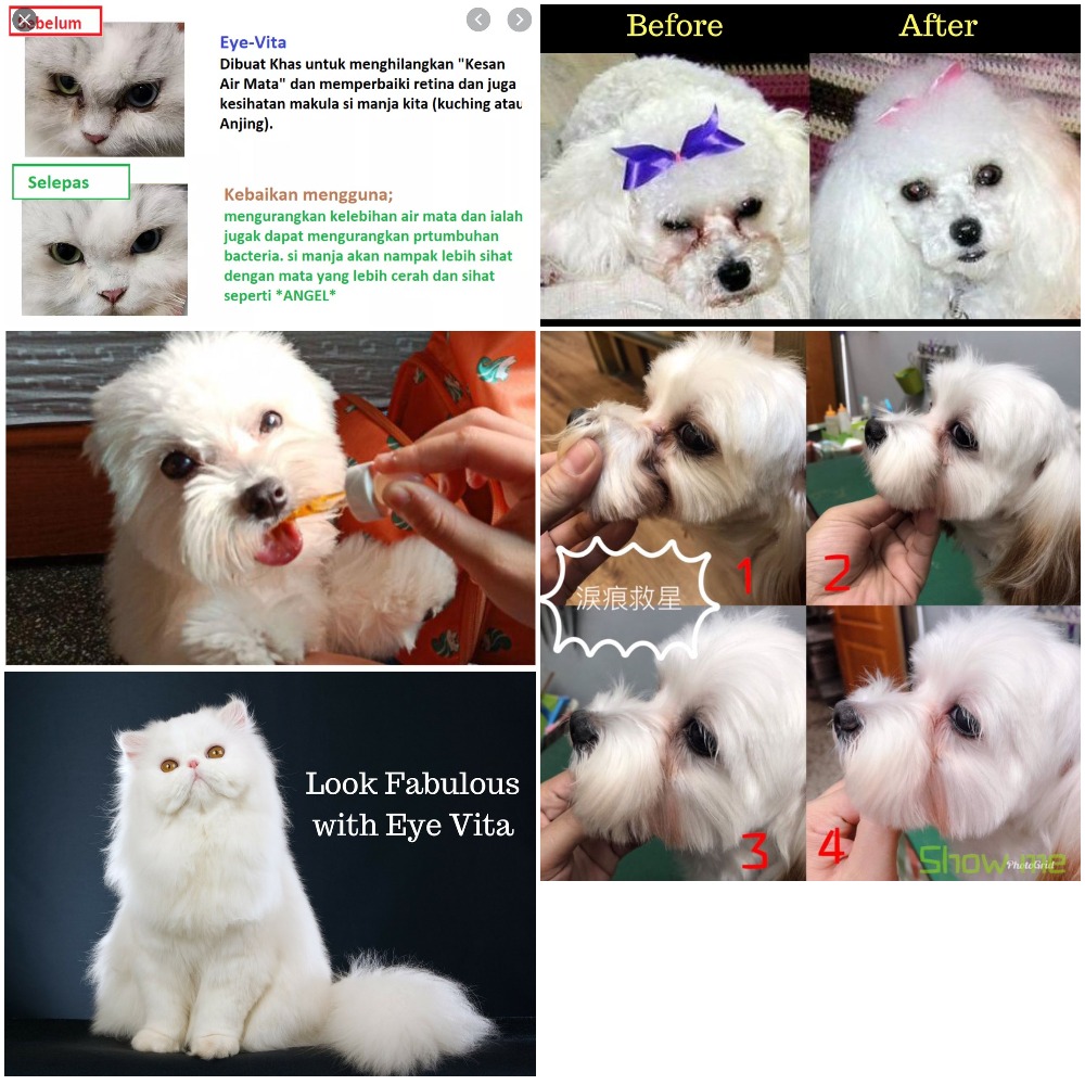 SMP Eye Vita Oral Tear Stain Supplement For Dogs & Cats 20ml 口服泪痕液 ...