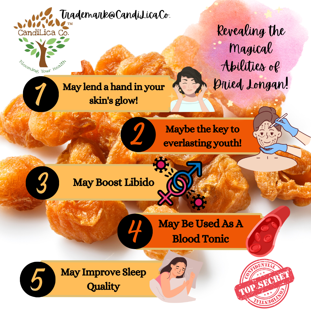 CandiLica Co. Dried Longan Pulp / Pulpa Kering Longan / Isi Buah Longan ...