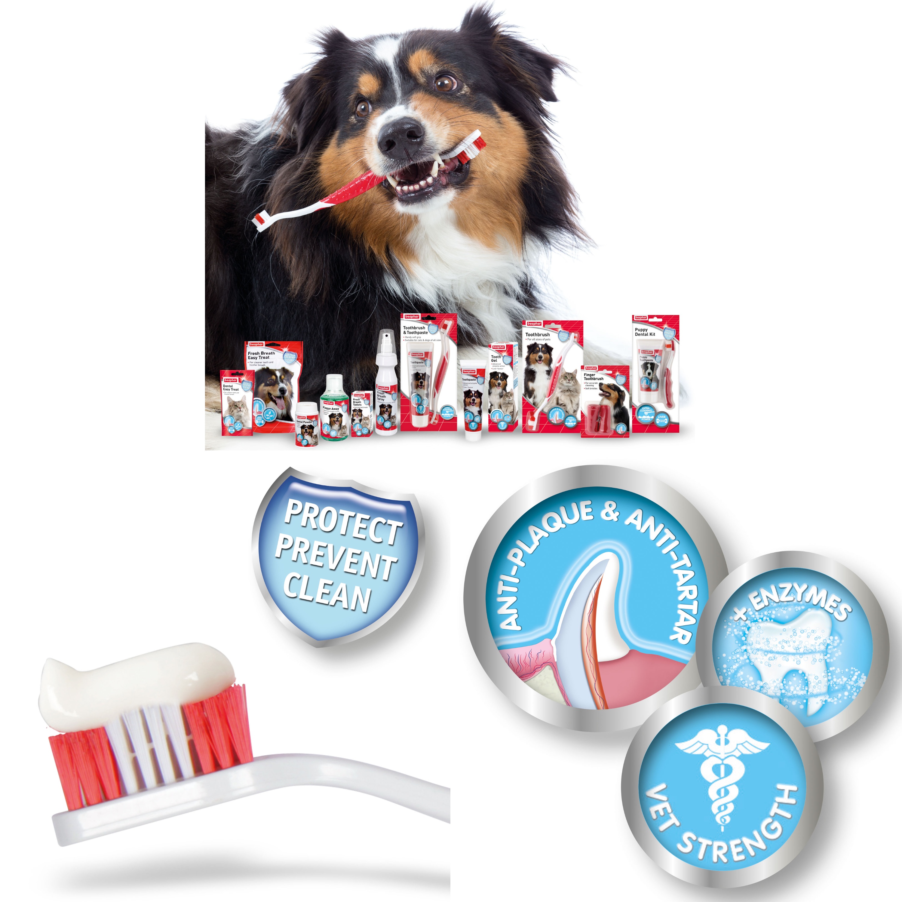 BEAPHAR Liver Flavored Toothpaste For Cats & Dogs 100g | Shopee Malaysia