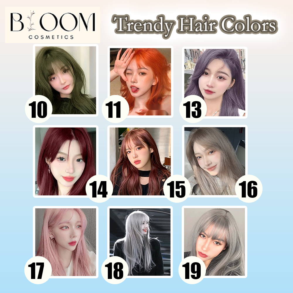 SHOUPIN 500ml Dye rambut pewarna PEWARNA RAMBUT HAIR DYE COLOUR 100ml ...