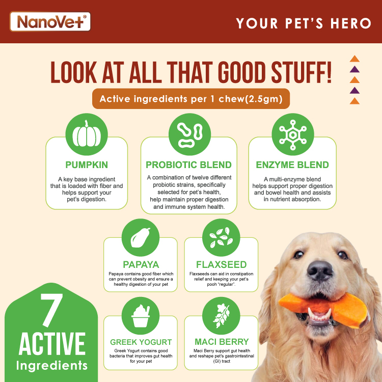 Nanovet Pet Probiotic Chews For Cat and Dog | Shopee Malaysia