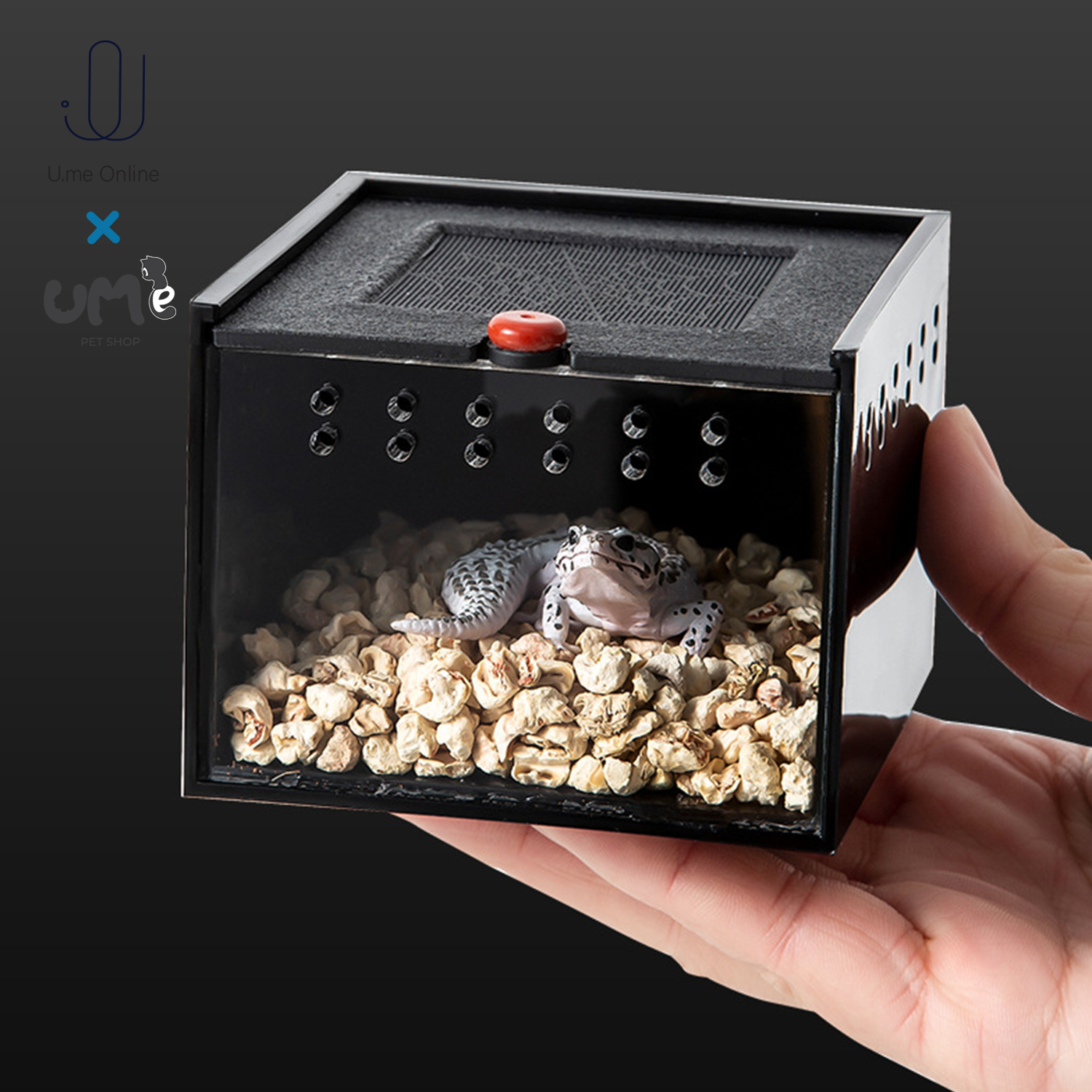 Ume Pet Insect Feeding Box Climbing Pet Spider Scorpion Beetle Insect ...