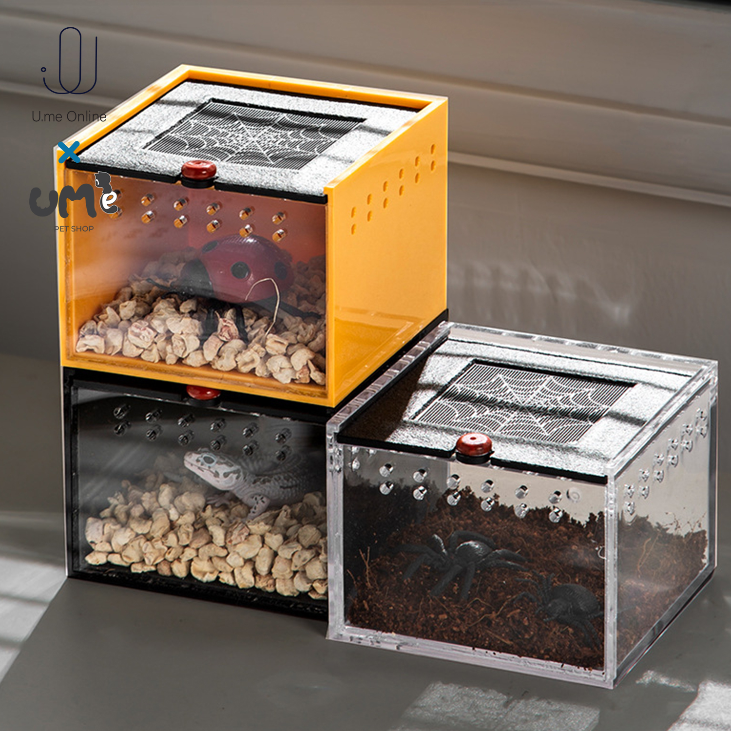 Ume Pet Insect Feeding Box Climbing Pet Spider Scorpion Beetle Insect ...
