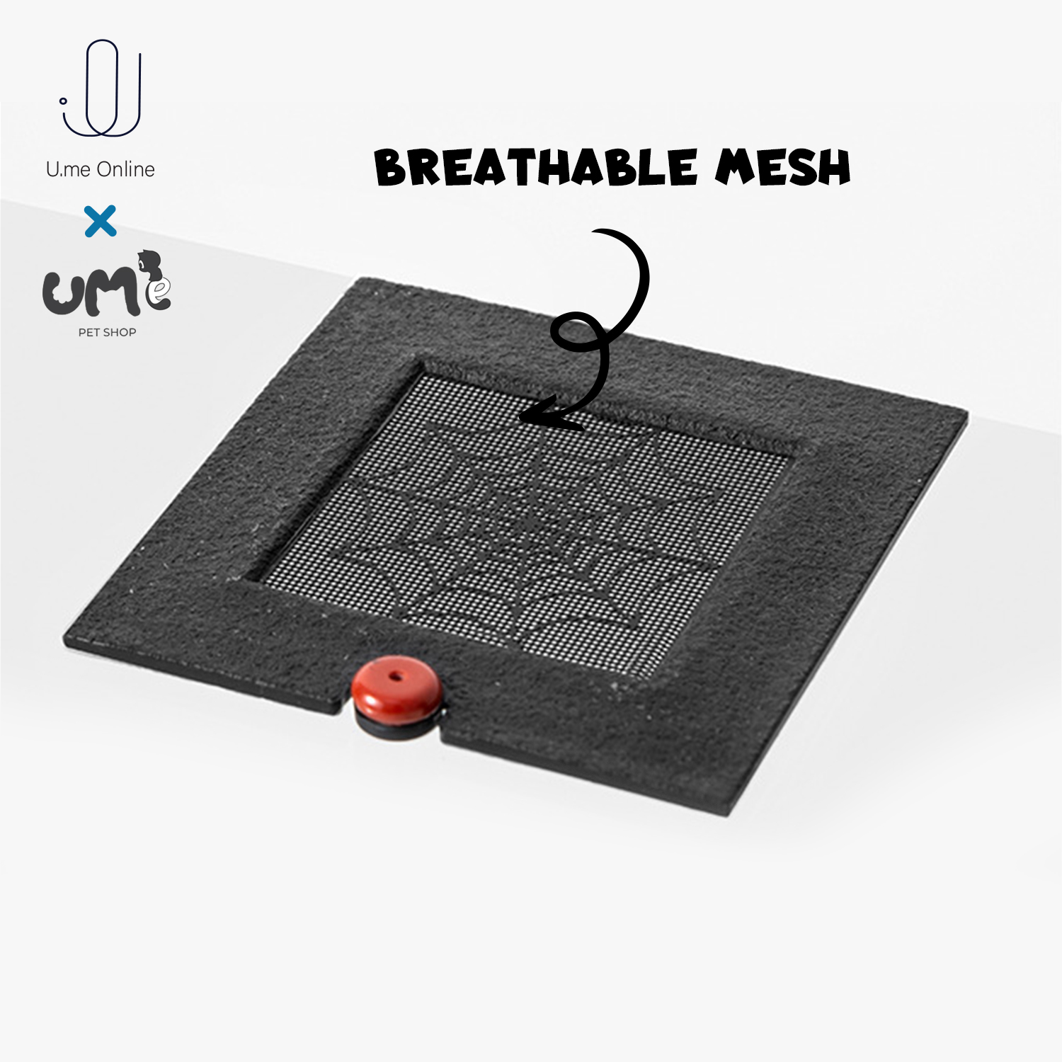 Ume Pet Insect Feeding Box Climbing Pet Spider Scorpion Beetle Insect ...