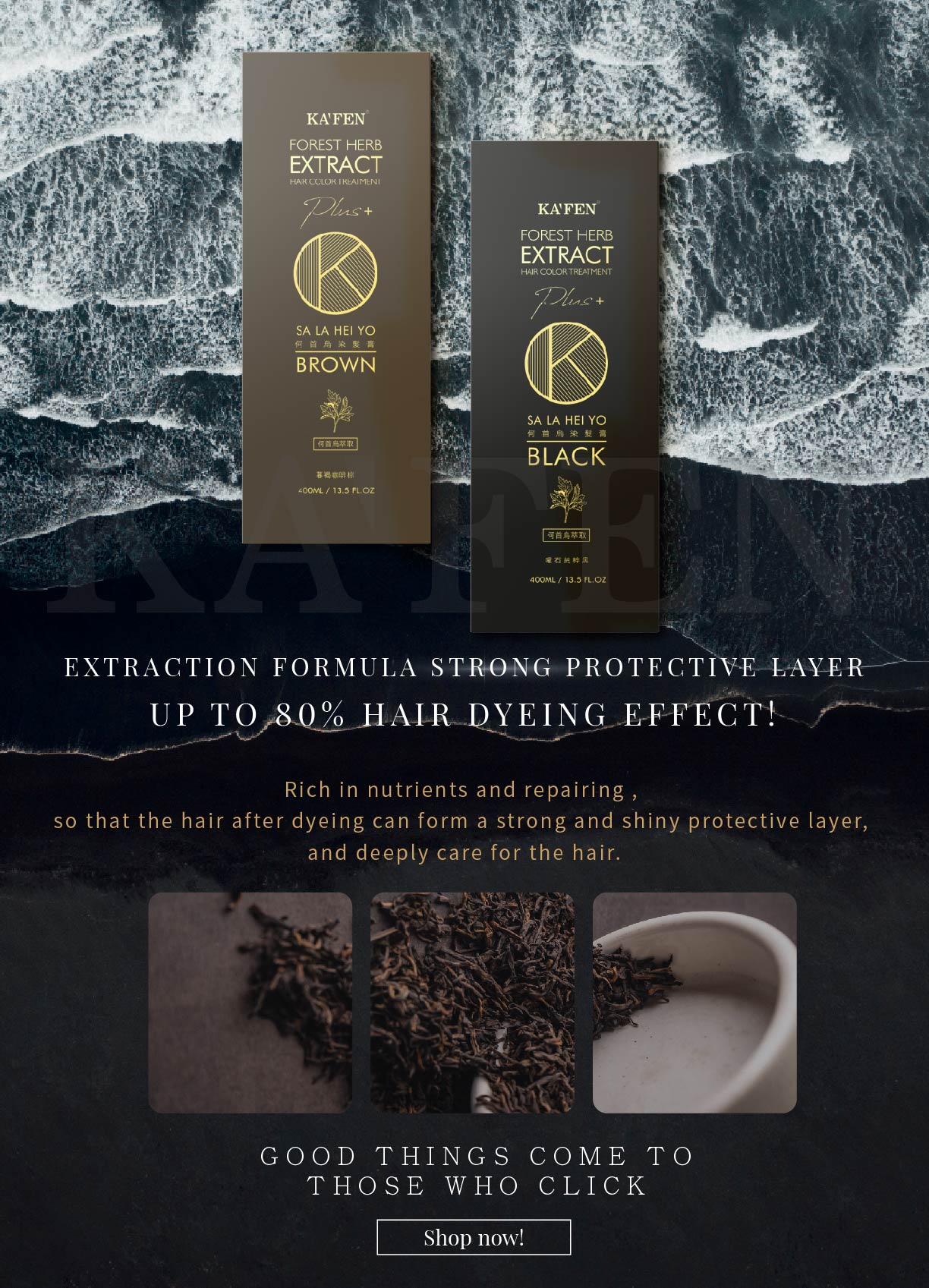Kafen Forest Herbs Extract Hair Color Shampoo 400ml (Black/Brown/Cocoa ...