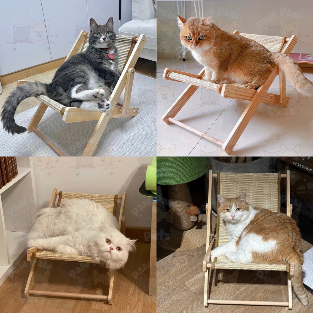 Sisal Beach Chair Cat Scratcher Cat Scratching Chair | Tempat Cakar ...