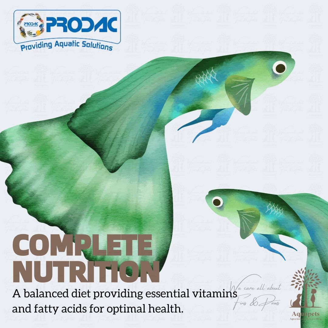 PRODAC Color + Canthaxanthin Fish food - 250mL (50g) Tropical Fish Food ...