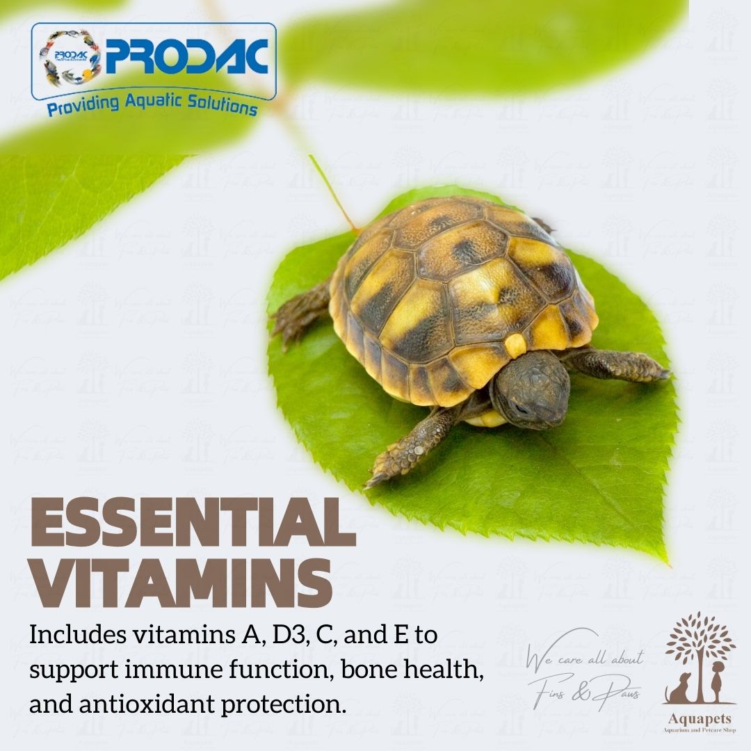 PRODAC Tartafood Food Pellet 1200mL (350g) Freshwater Turtle Food Tarta ...