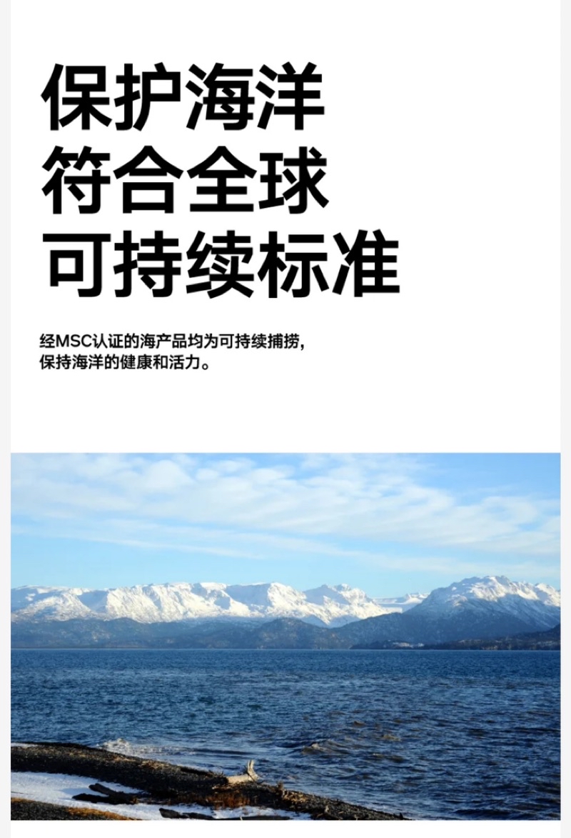 Pidan 皮蛋 Wild Alaska Salmon Main Complete Cat Canned Food 85g 阿拉斯加野生三文鱼 ...