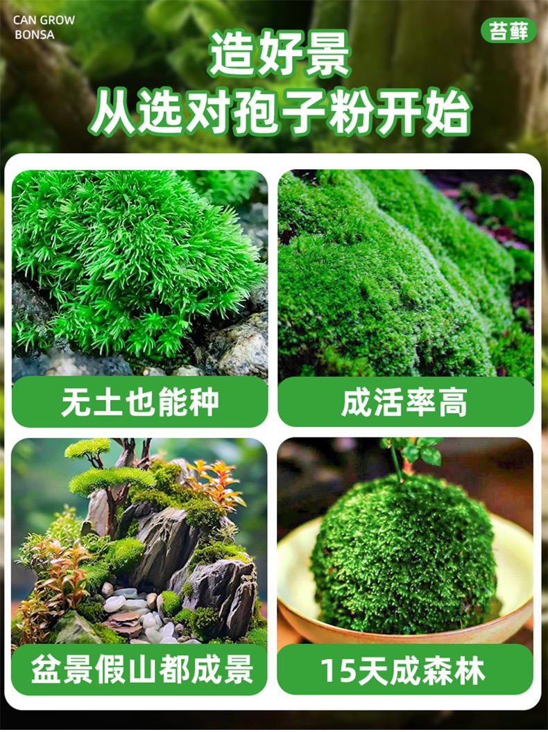 Premium Moss Spore Powder Seeds - Create Beautiful Landscapes Bryophyte ...
