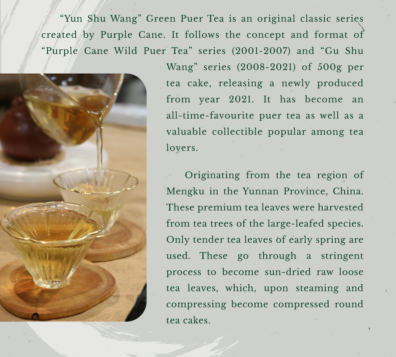 Purple Cane Yun Shu Wang Green Puer Tea Year 2022 Mengku 紫藤云树王 普洱青饼 2022年 勐库 (±500g) | Shopee ...