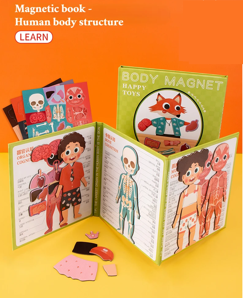 Body Magnet Book Folding Human Body Structure Puzzle Children's ...