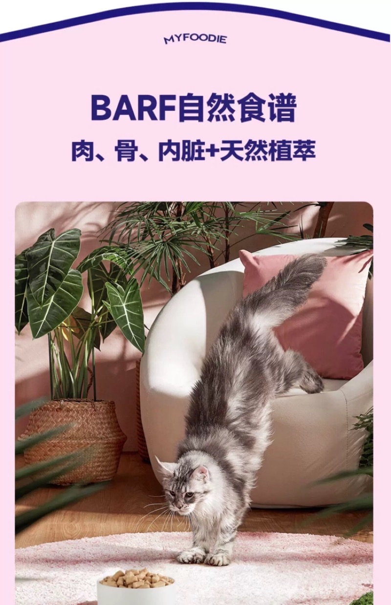 Myfoodie BARF【主食冻干】麦富迪barf霸弗主食冻干生骨肉猫咪全价高蛋白营养500g Freeze-dried complete ...